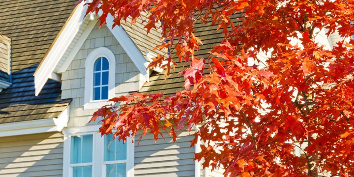 The Best Trees For Your Pennsylvania Landscape - Primex Garden Center ...