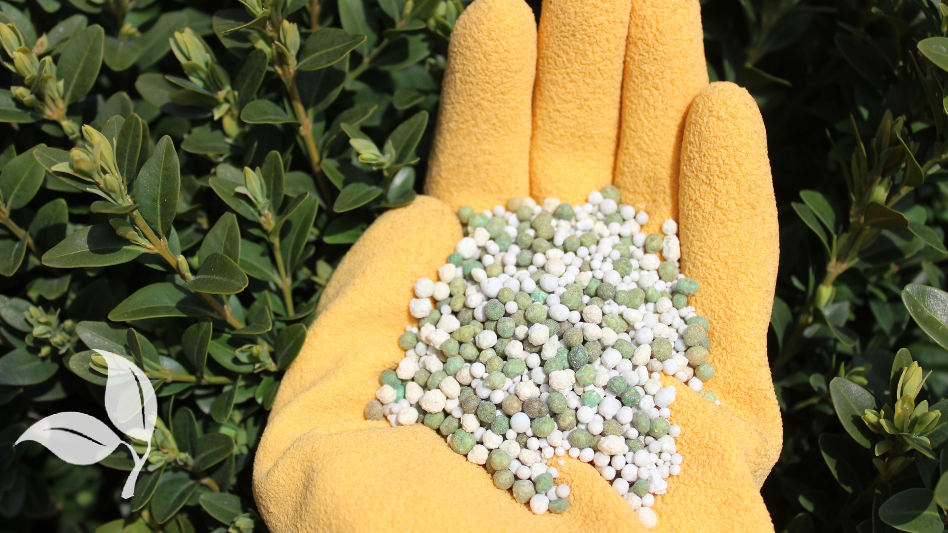 The Essential Fertilizer Guide for a Thriving Garden - Glenside, PA