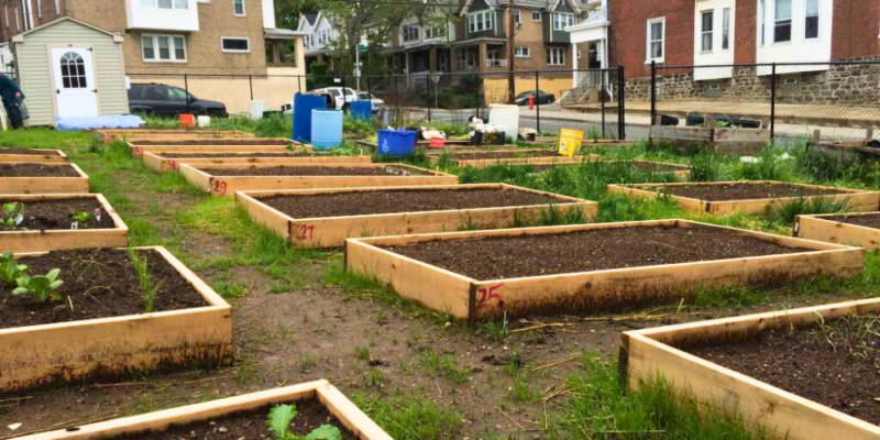 The Benefits of Community Gardens - Primex Garden Center | Blog