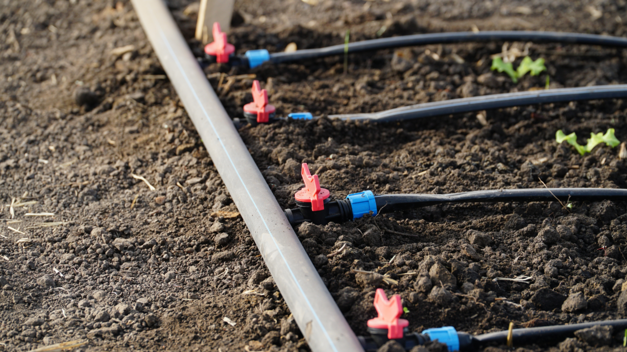 Fall Watering Tips - Primex Garden Center - Fall Watering Tips | Blog ...